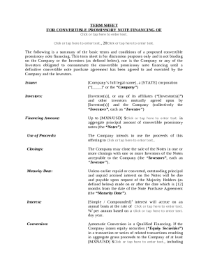 Term Sheet for Convertible Promissory Note Financing Doc Template ...