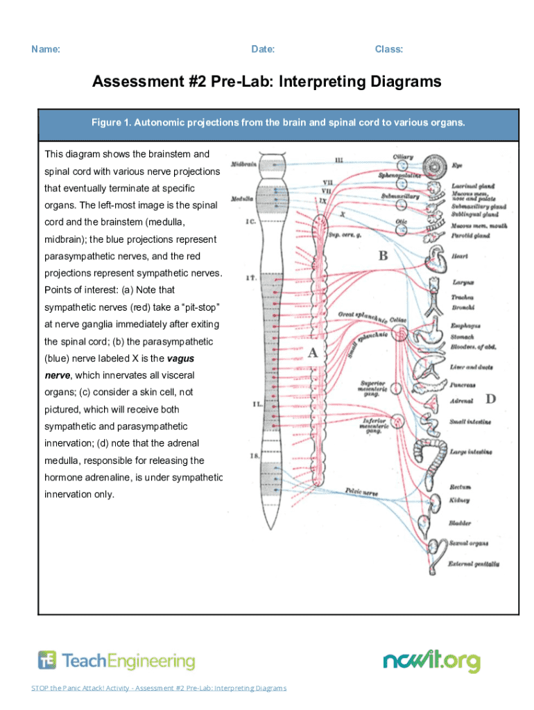Fillable Online Assessment #2 Pre-lab: Interpreting Diagrams Fax Email ...