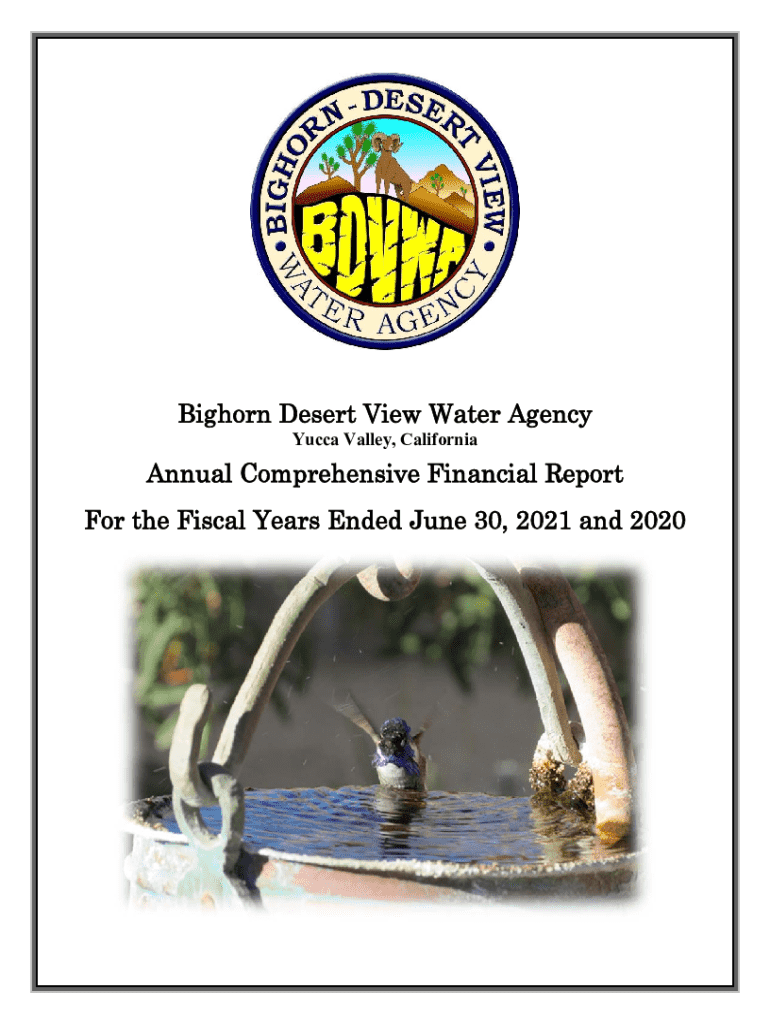 Fillable Online Annual Comprehensive Financial Report for the Fiscal Years Ended June 30, 2021 ...