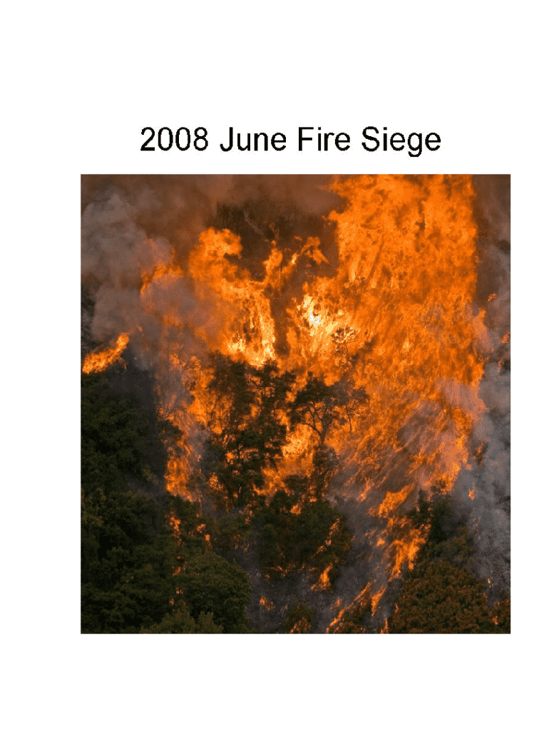 Fillable Online 2008 June Fire Siege Report Fax Email Print - pdfFiller