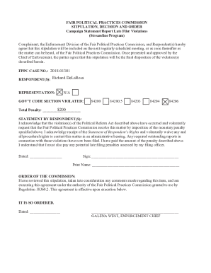 Fillable Online Stipulation, Decision and Order Fax Email Print - pdfFiller