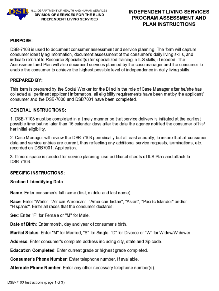 Fillable Online Independent Living Services Program Assessment and Plan ...