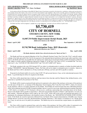 Fillable Online City of Hornell, County of Steuben, New York Official Statement Fax Email Print ...