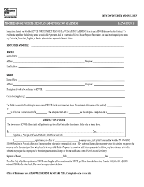 Fillable Online Modified Sdvob Participation Plan and Affirmation ...