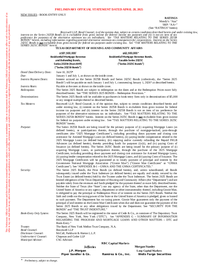 Preliminary Official Statement Doc Template | pdfFiller