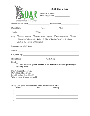 Fillable Online Soar Plan of Care Application Form Fax Email Print ...