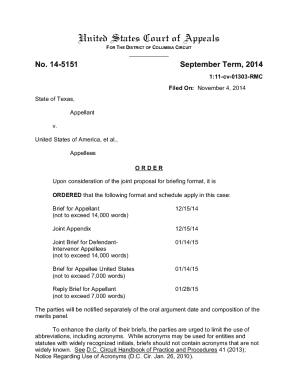 Fillable Online Court Order for Briefing Schedule and Format Fax Email ...