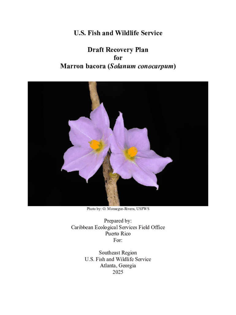 Fillable Online Draft Recovery Plan for Marron Bacora (solanum ...