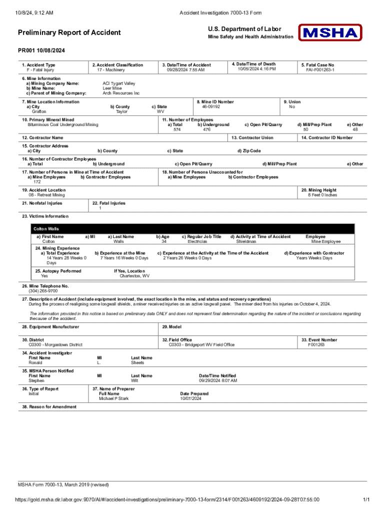 Fillable Online Preliminary Report of Accident Fax Email Print - pdfFiller