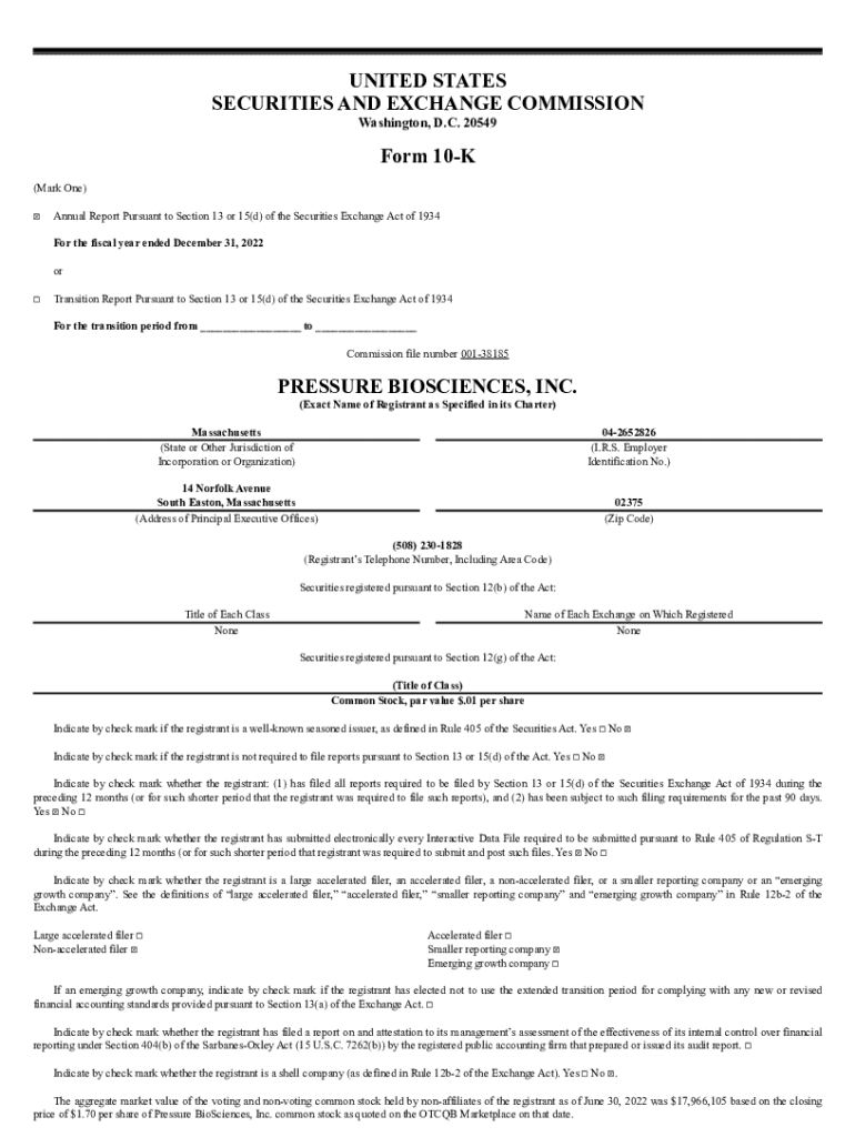 Fillable Online Annual Report Pursuant to Section 13 or 15(d) of the ...