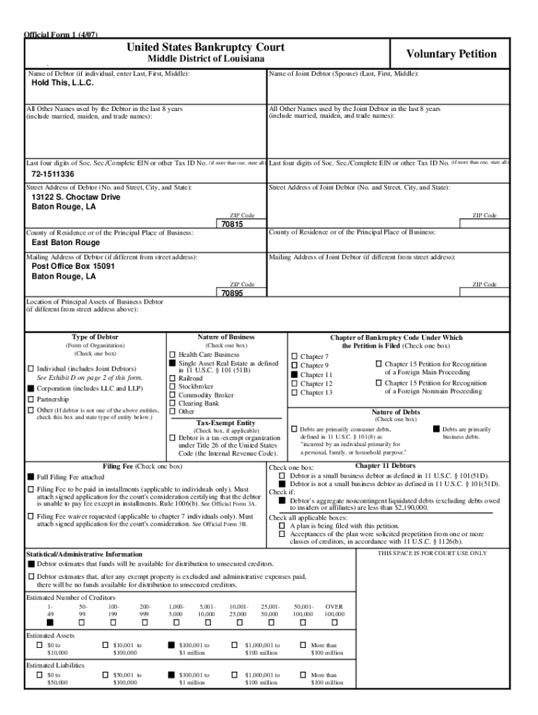 Fillable Online Voluntary Petition Fax Email Print - pdfFiller