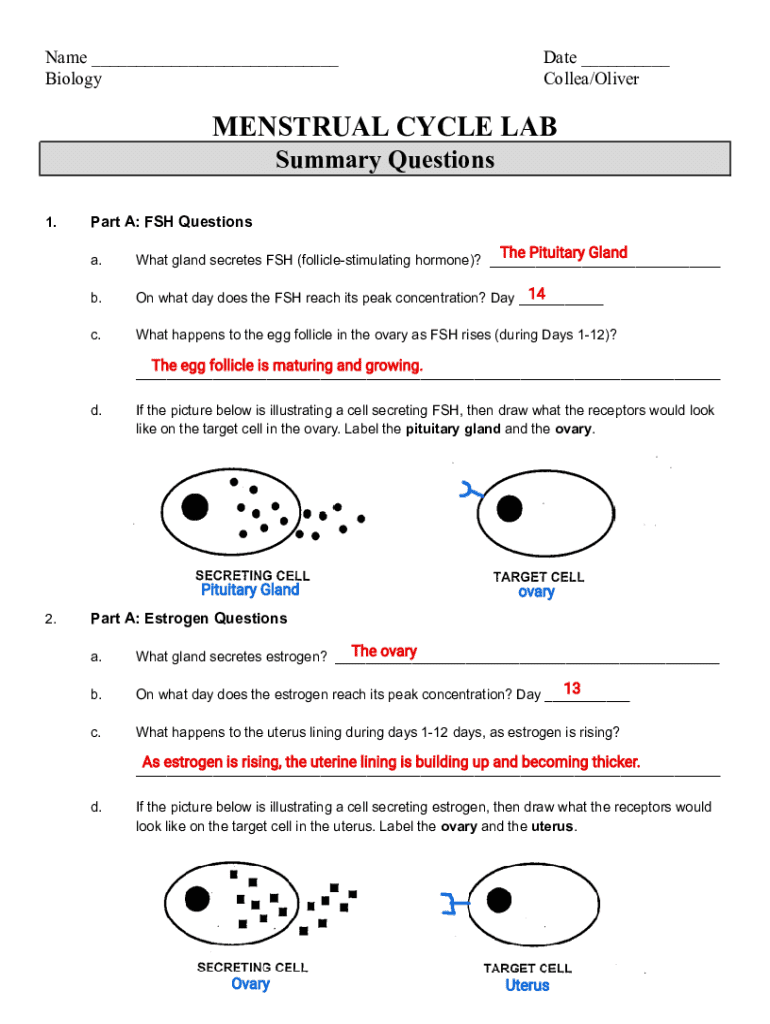 Fillable Online Menstrual Cycle Lab Fax Email Print - pdfFiller