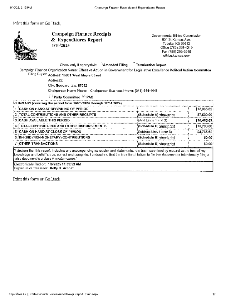 Fillable Online Campaign Finance Receipts and Expenditures Report Fax Email Print - pdfFiller