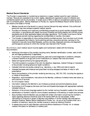 Fillable Online The Provider is responsible for maintaining an ...