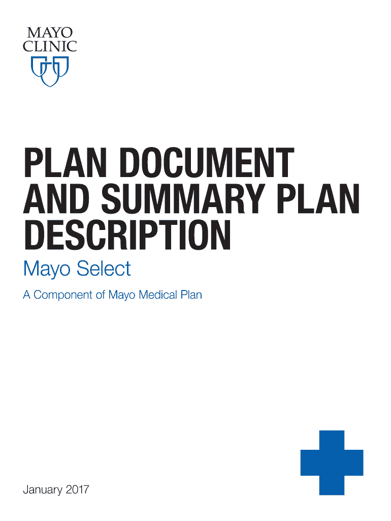 Fillable Online Mayo Select Fax Email Print - pdfFiller