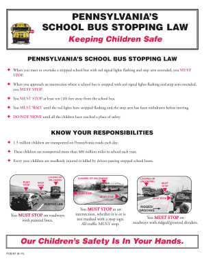 Fillable Online SCHOOL BUS STOPPING LAW Fax Email Print - pdfFiller