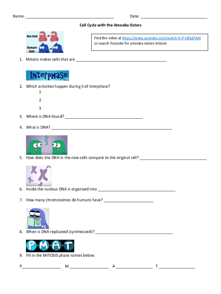 Fillable Online Amoeba Sisters: Mitosis Video Recap & Cell Division ...