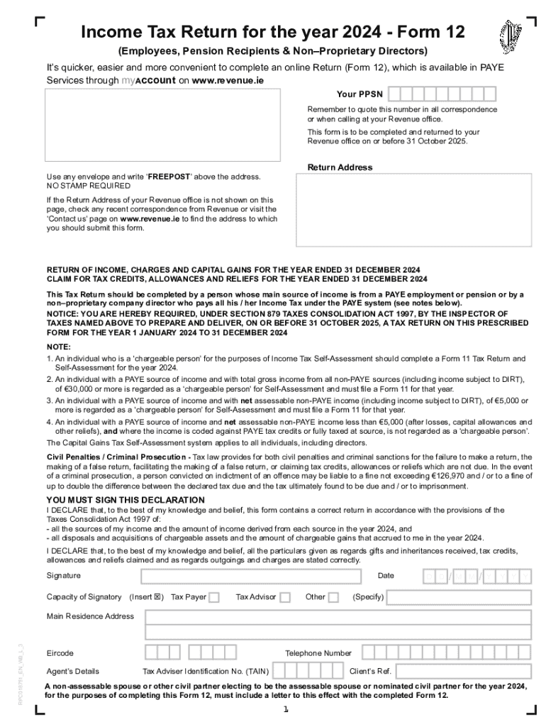 Ireland Income Tax Return Form 12 - Blank Fillable Template | Fill Out ...