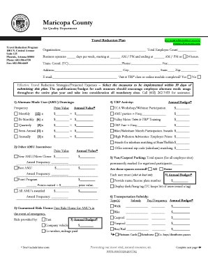 TRP Plan Form - Valley Metro - Valleymetro - Fill and Sign Printable ...