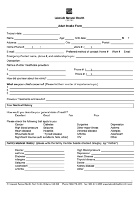 Fillable Online Adult Intake Form - Lake Side Health Centre Fax Email ...