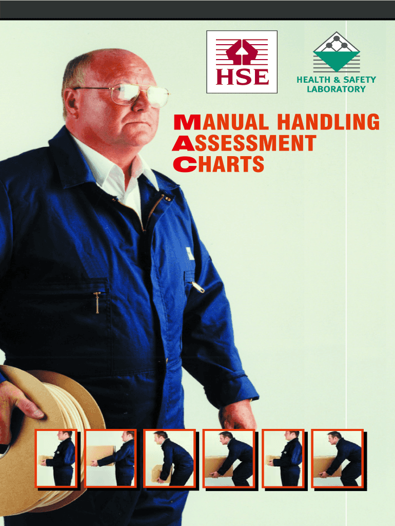 Fillable Online sussex ac INDG383-R3 - MANUAL HANDLING ASSESSMENT ...