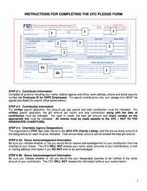 Fillable Online riandsemacfc 2010 Completing the Pledge Form - for ...