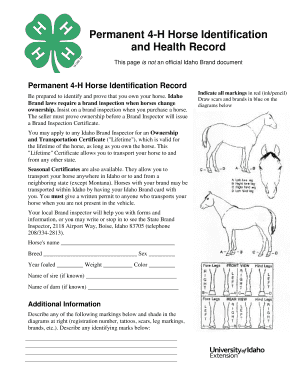 Horse Leg Markings Chart