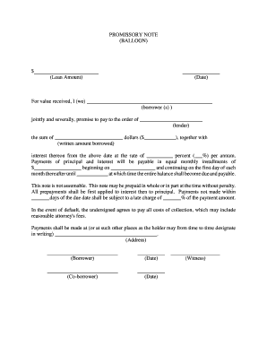Fillable Online PROMISSORY NOTE (BALLOON) $ (Loan Amount ...