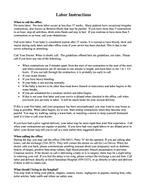 Fillable Online Labor Instructions Fax Email Print - pdfFiller