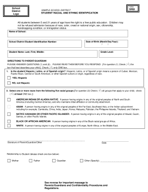 Fillable Online nysldstac Sample Race and Ethnicity Form PDF ...