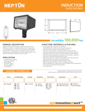 Fillable Online Induction Flood Light Slip-Fitter Yoke Mount Fixtures - Hangar Lights Fax Email ...