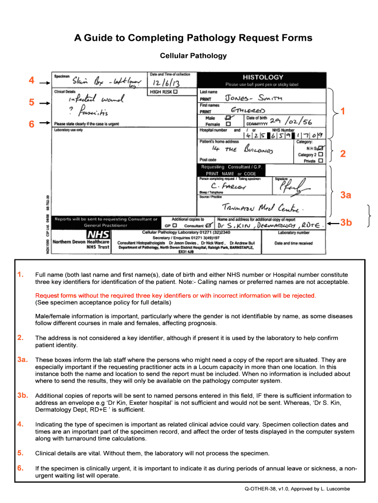 Fillable Online Guidance on Completing Histopathology Request Forms Fax ...