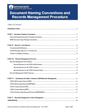 Fillable Online Document Naming Conventions and Fax Email Print - pdfFiller