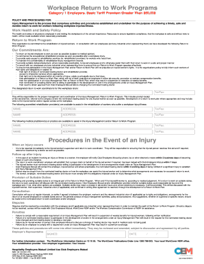Fillable Online Workplace Return to Work Programs Fax Email Print ...