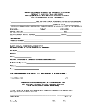 Fillable Online bailusa AFFIDAVIT OF UNDERTAKING OF BAIL FOR - Bail USA ...